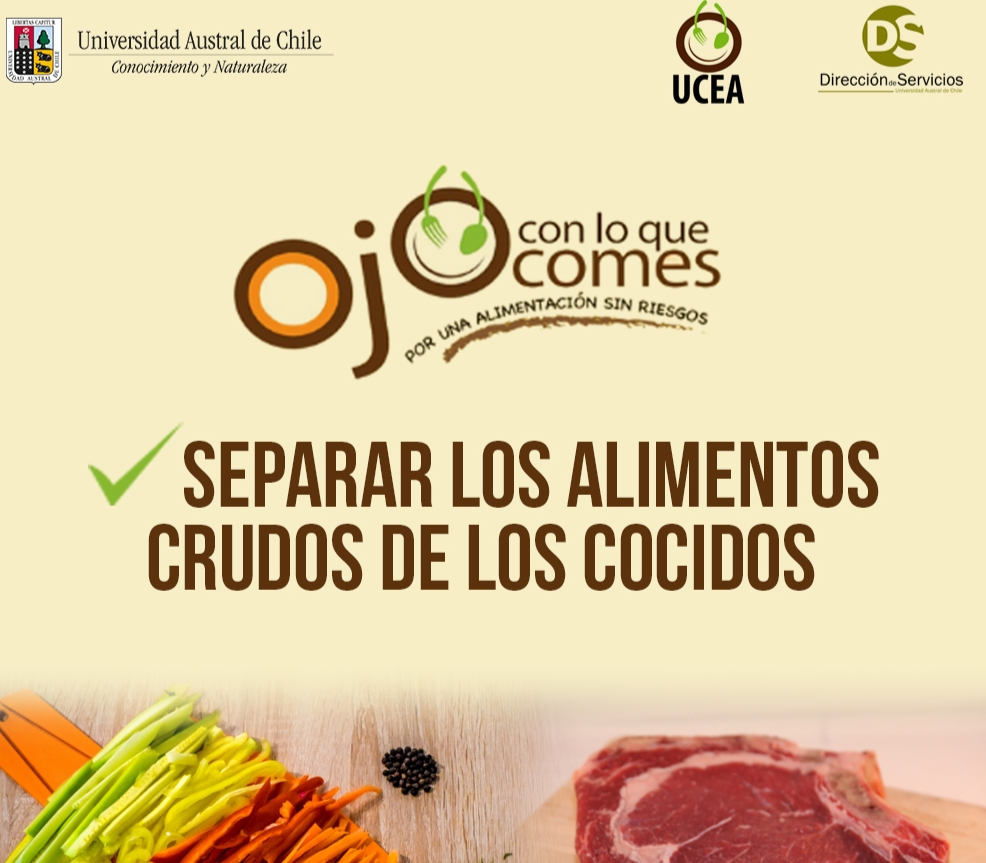 UACh | Sede Puerto Montt