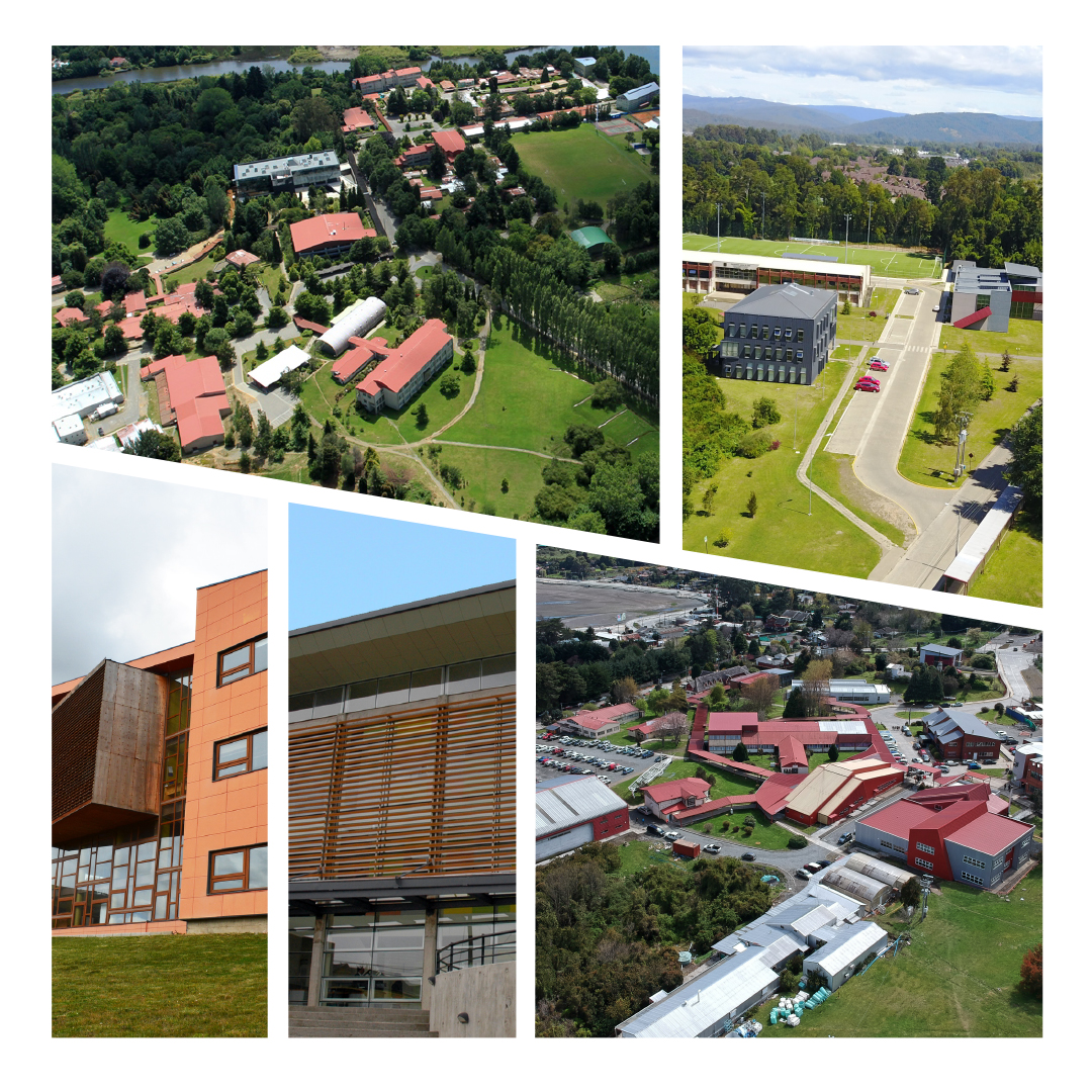 UACh | Sede Puerto Montt